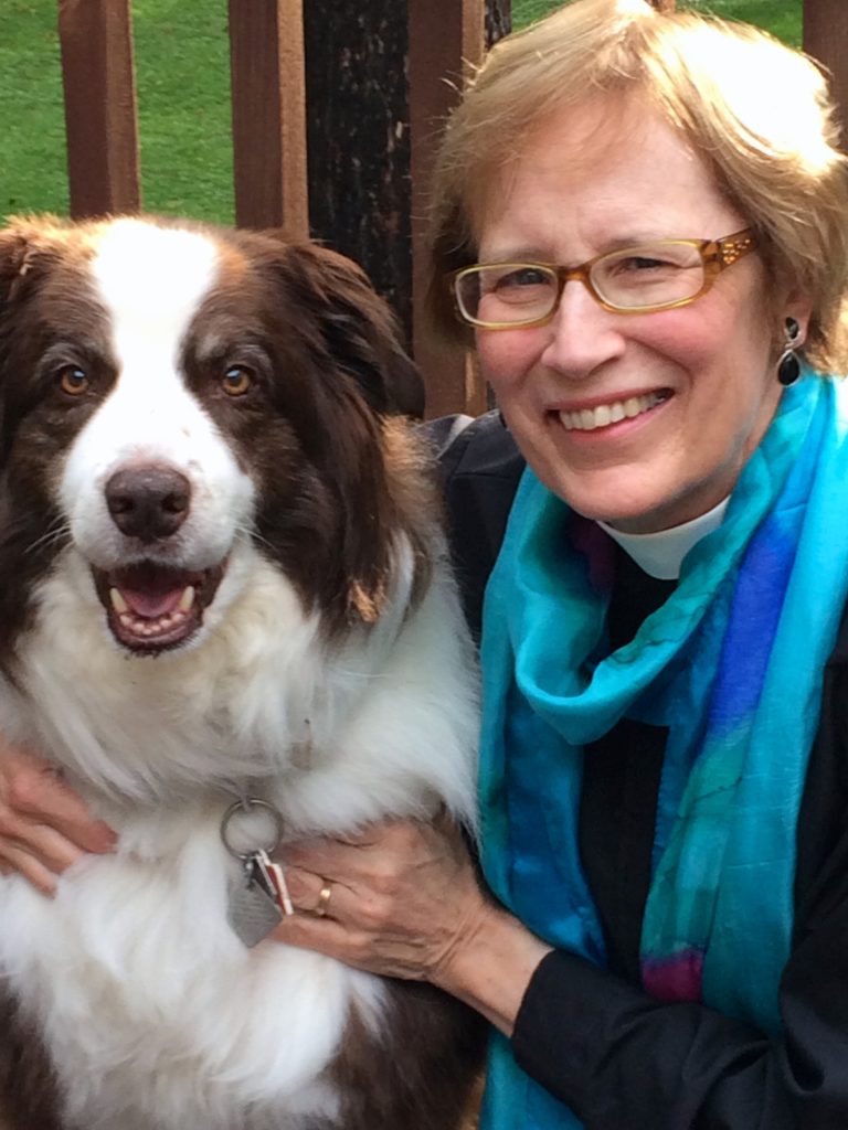 Q&A with Lindsay Hardin Freeman, author of The Spy on Jacob’s Ladder ...