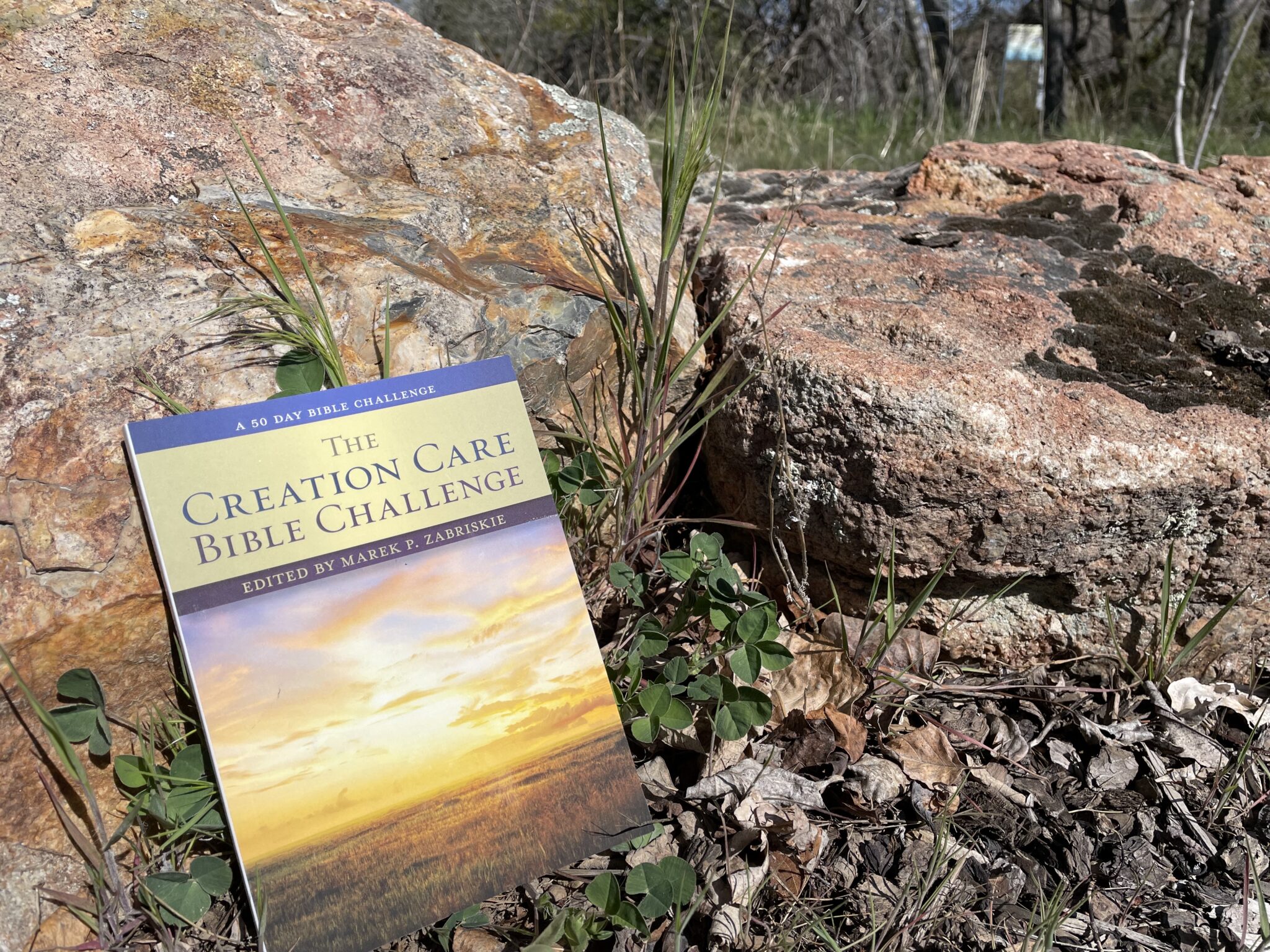 Forward Today: Caring for God’s creation – Forward Movement